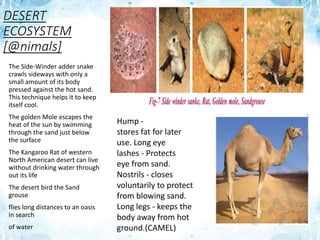ADAPTATION OF LIVING ORGANISMS TO DIFFERENT ECOSYSTEMS | PPTX