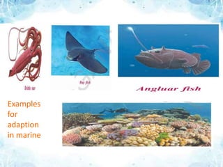 ADAPTATION OF LIVING ORGANISMS TO DIFFERENT ECOSYSTEMS | PPTX
