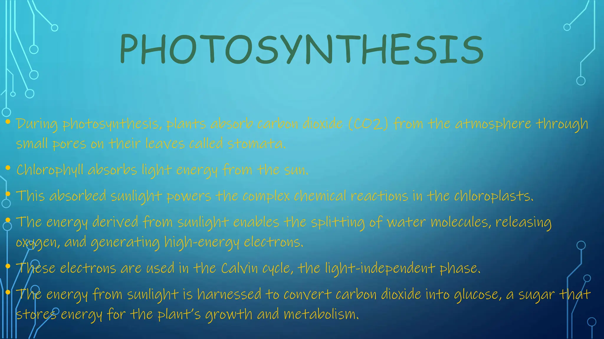 Carbon and Oxygen Cycle PPT for Class 9 children | PPTX