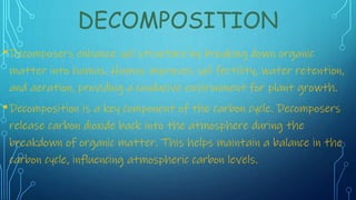 Carbon and Oxygen Cycle PPT for Class 9 children | PPTX
