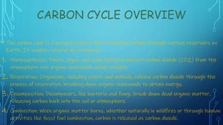 Carbon and Oxygen Cycle PPT for Class 9 children | PPT