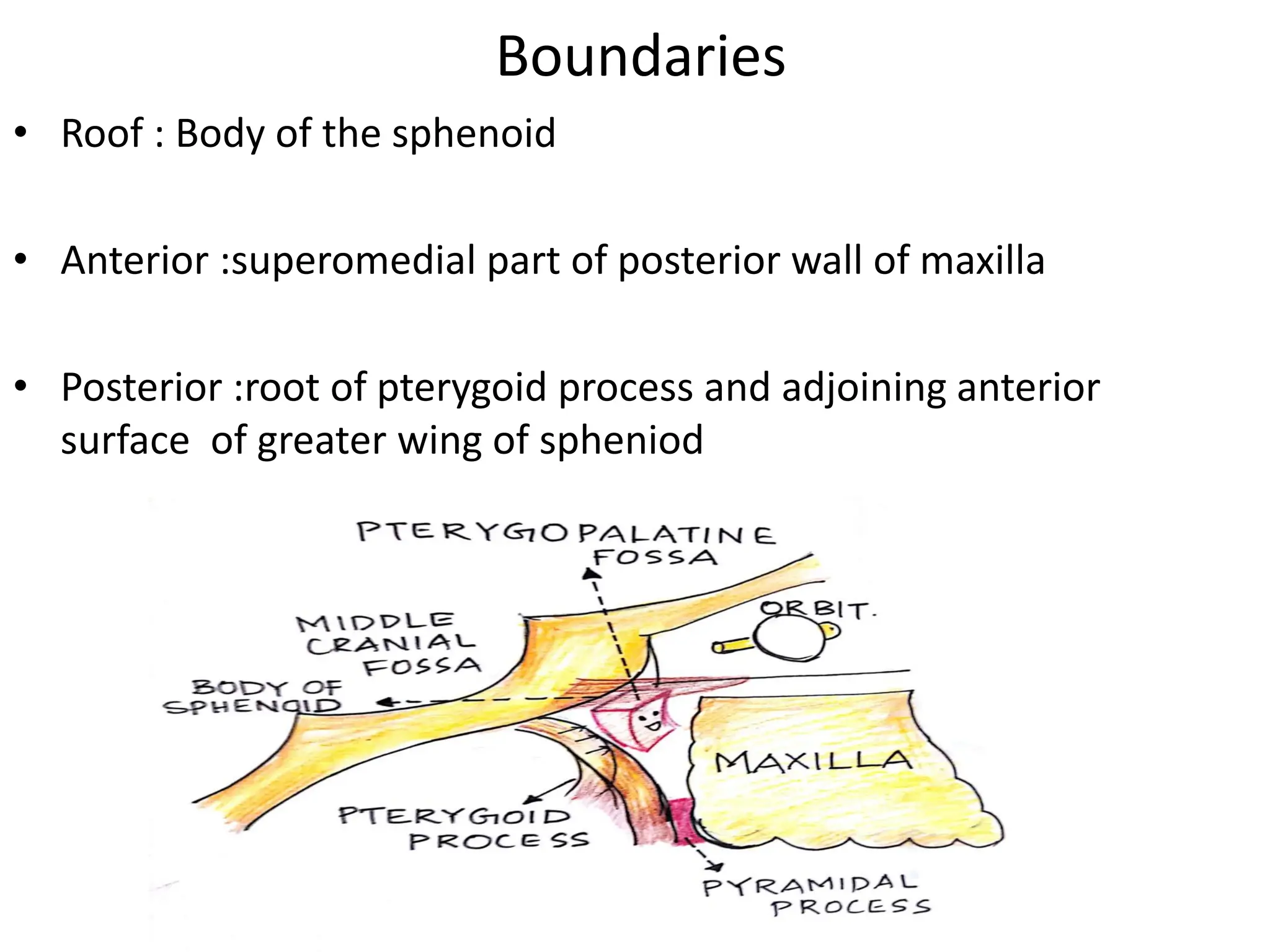 Pterygopalatine fossa -anatomy and approaches | PDF