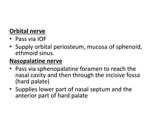 Pterygopalatine fossa -anatomy and approaches | PDF