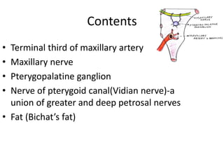 Pterygopalatine fossa -anatomy and approaches | PDF