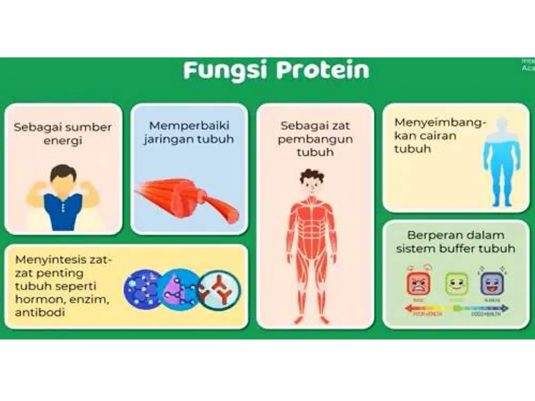 Jenis-jenis zat makanan atau nutrisi pada makanan terdiri atas ...