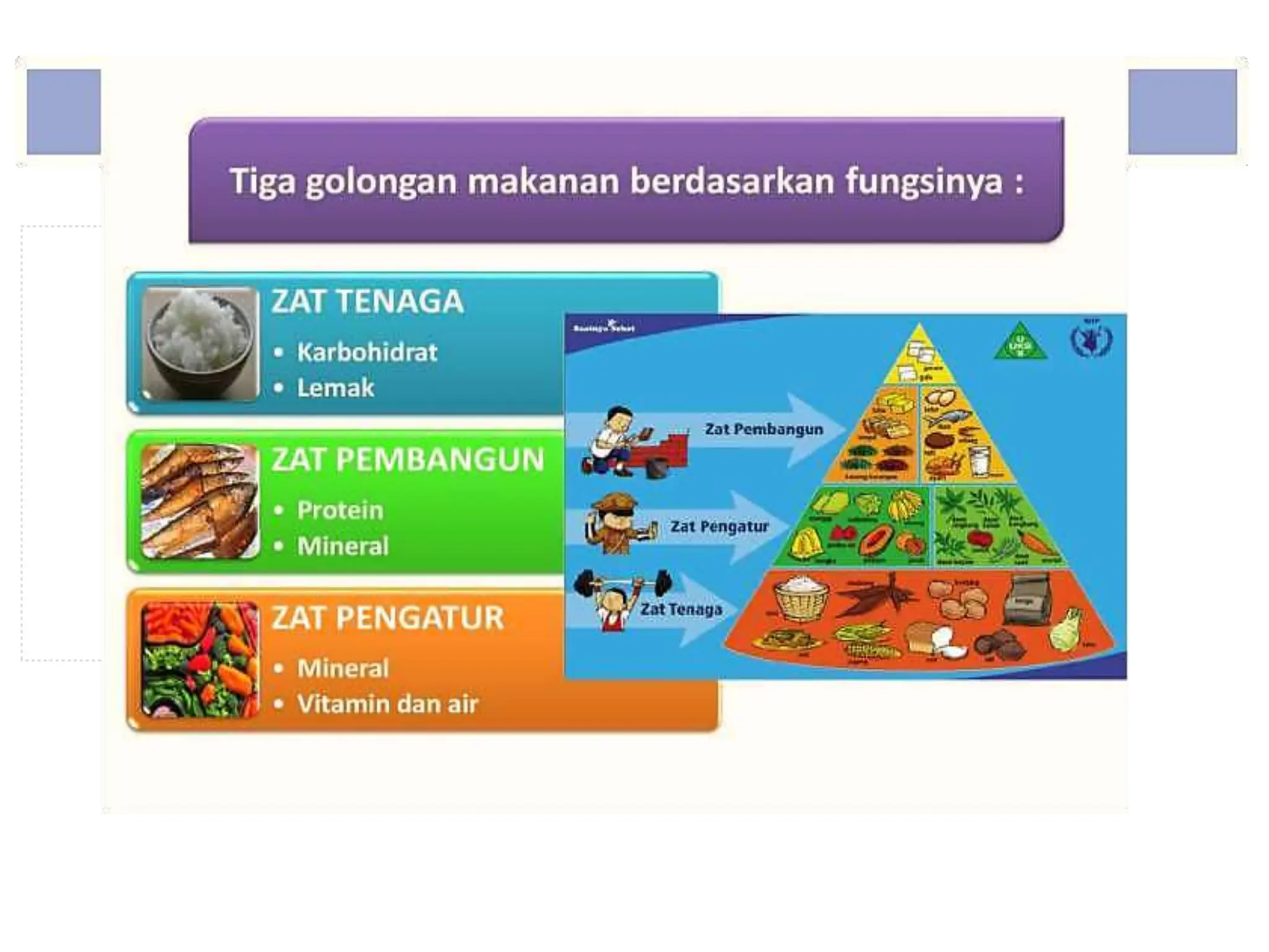 Jenis-jenis zat makanan atau nutrisi pada makanan terdiri atas ...