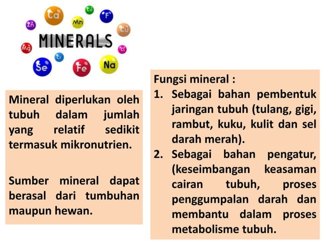 Jenis-jenis zat makanan atau nutrisi pada makanan terdiri atas ...