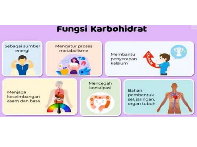 Jenis-jenis zat makanan atau nutrisi pada makanan terdiri atas ...