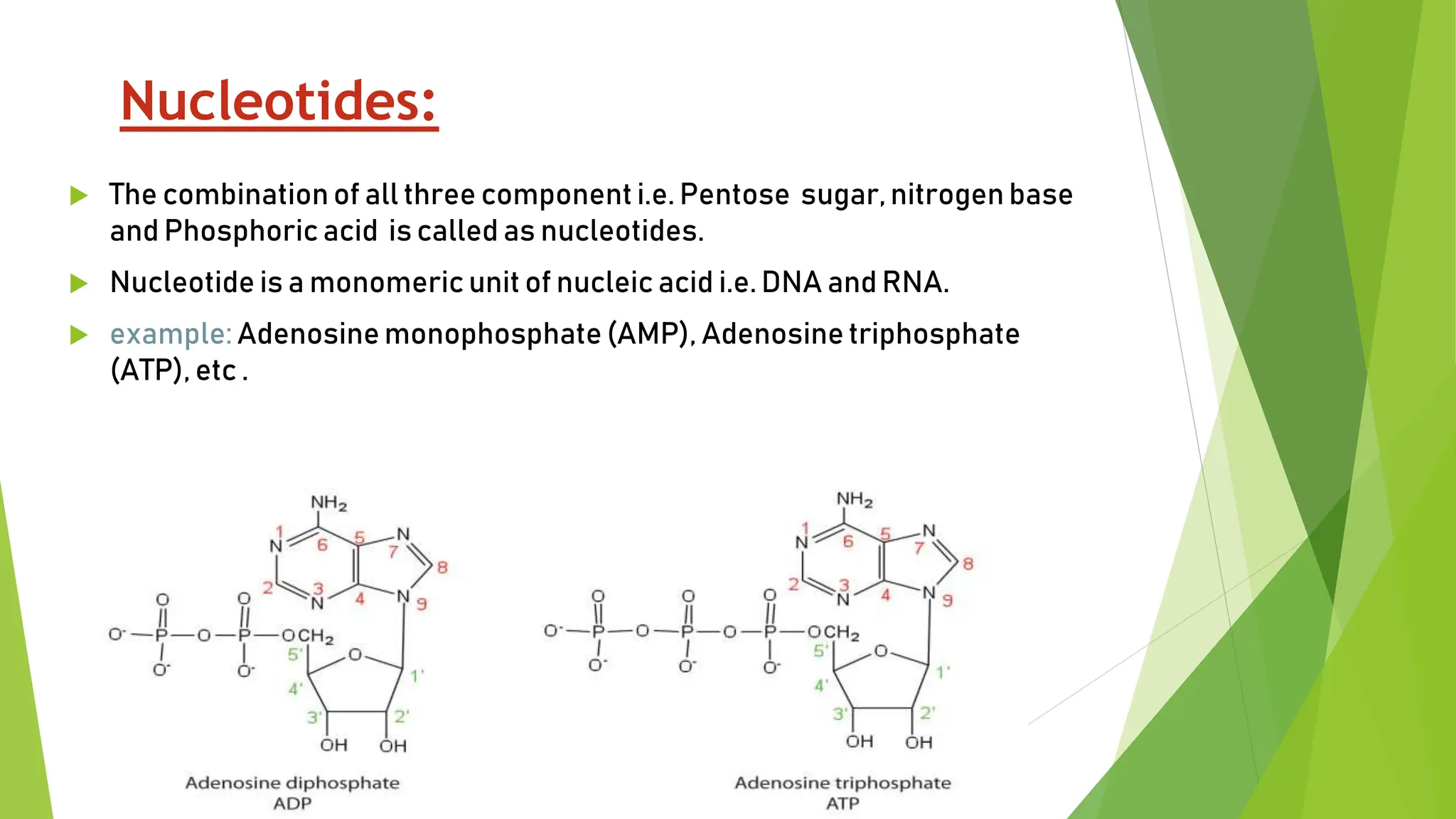 presentation on a nucleic acid in chemistry | PPTX