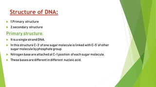 presentation on a nucleic acid in chemistry | PPTX