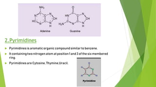 presentation on a nucleic acid in chemistry | PPTX