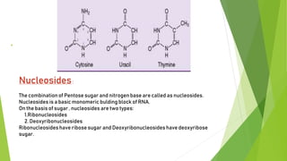 presentation on a nucleic acid in chemistry | PPTX