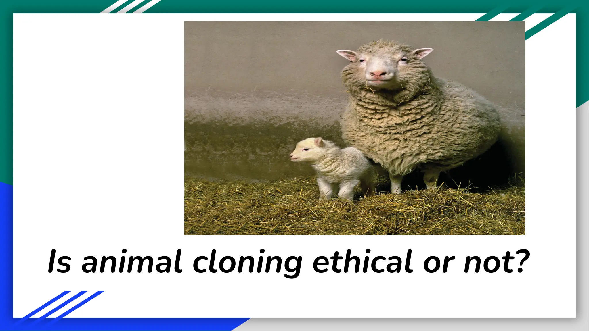 Ethical Considerations of Animal Cloning | PDF