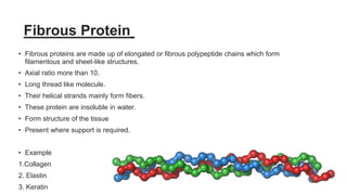Protein classification function important | PPTX