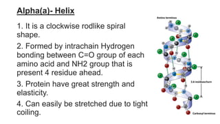 Protein classification function important | PPT