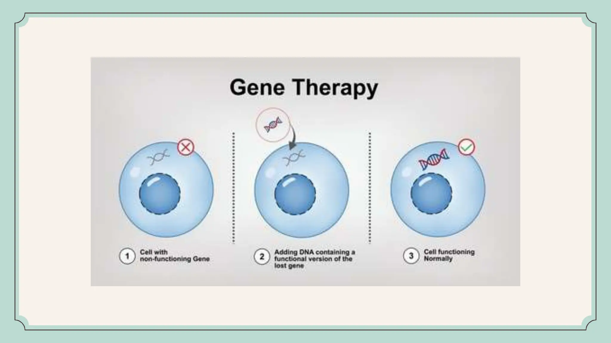 Recombinant DNA technology( gene therapy) | PPTX