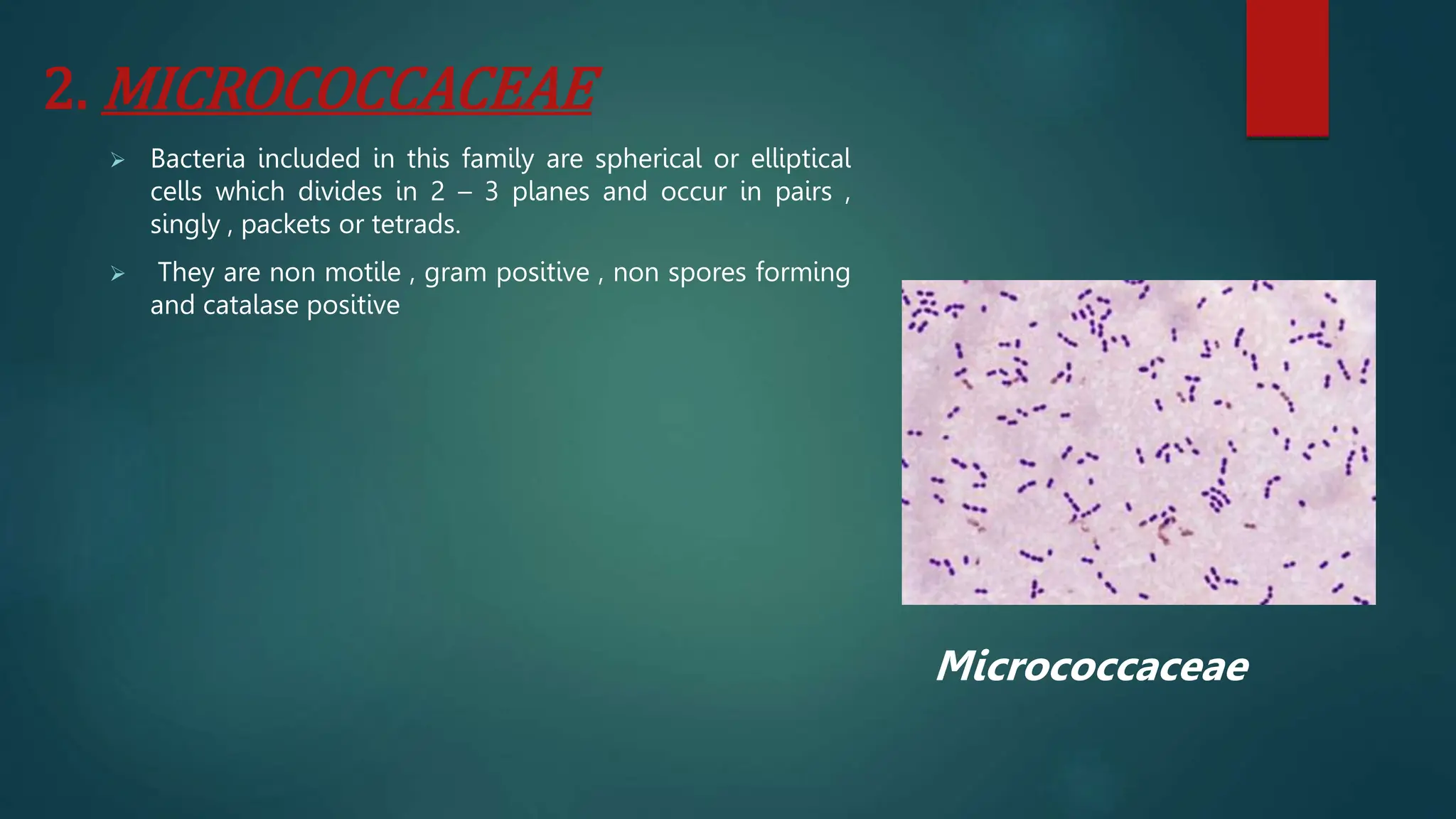 Microbes in dairy industries and types of microorganisms in milk | PPTX