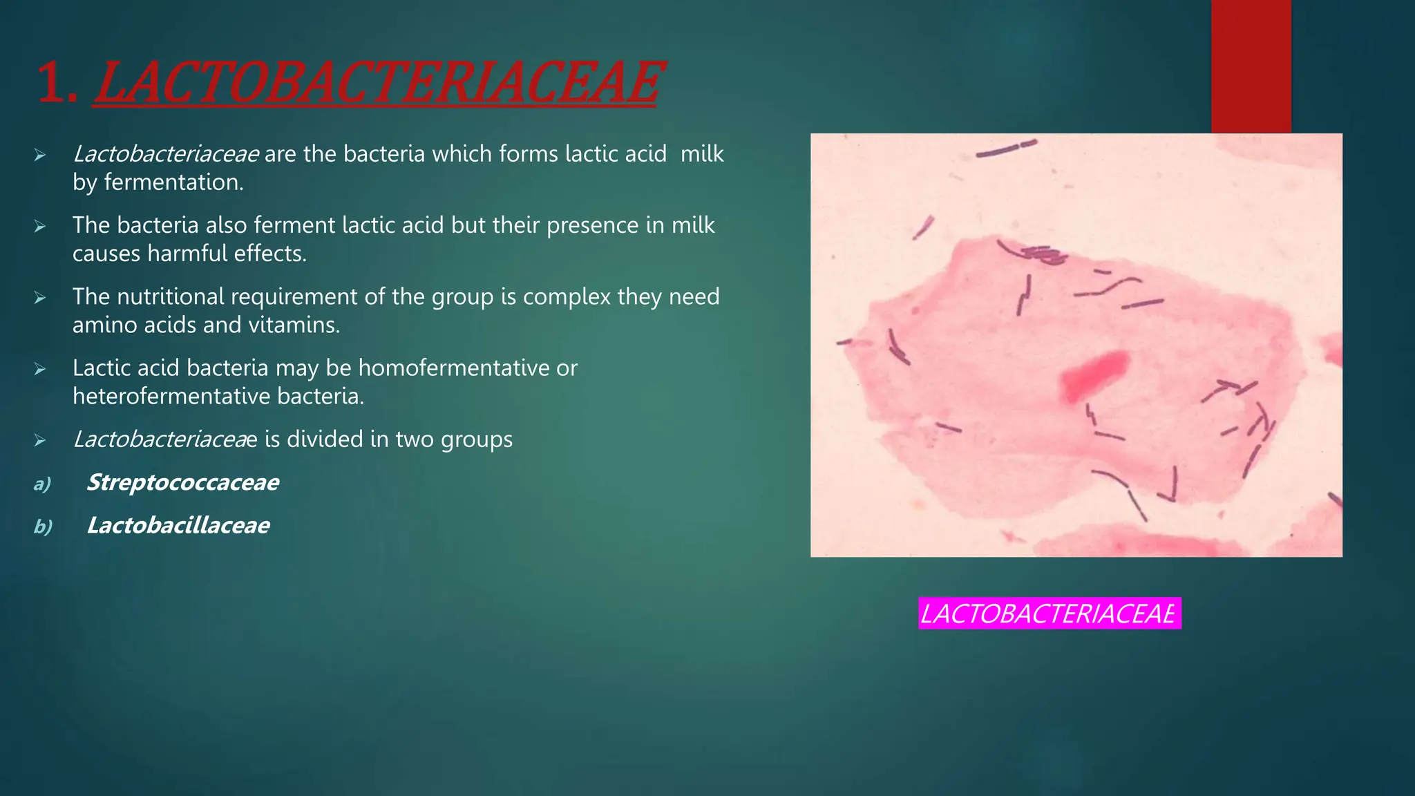 Microbes in dairy industries and types of microorganisms in milk | PPTX