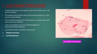 Microbes in dairy industries and types of microorganisms in milk | PPT
