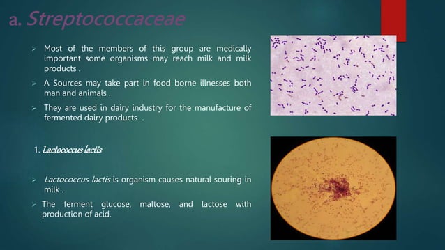 Microbes in dairy industries and types of microorganisms in milk | PPT