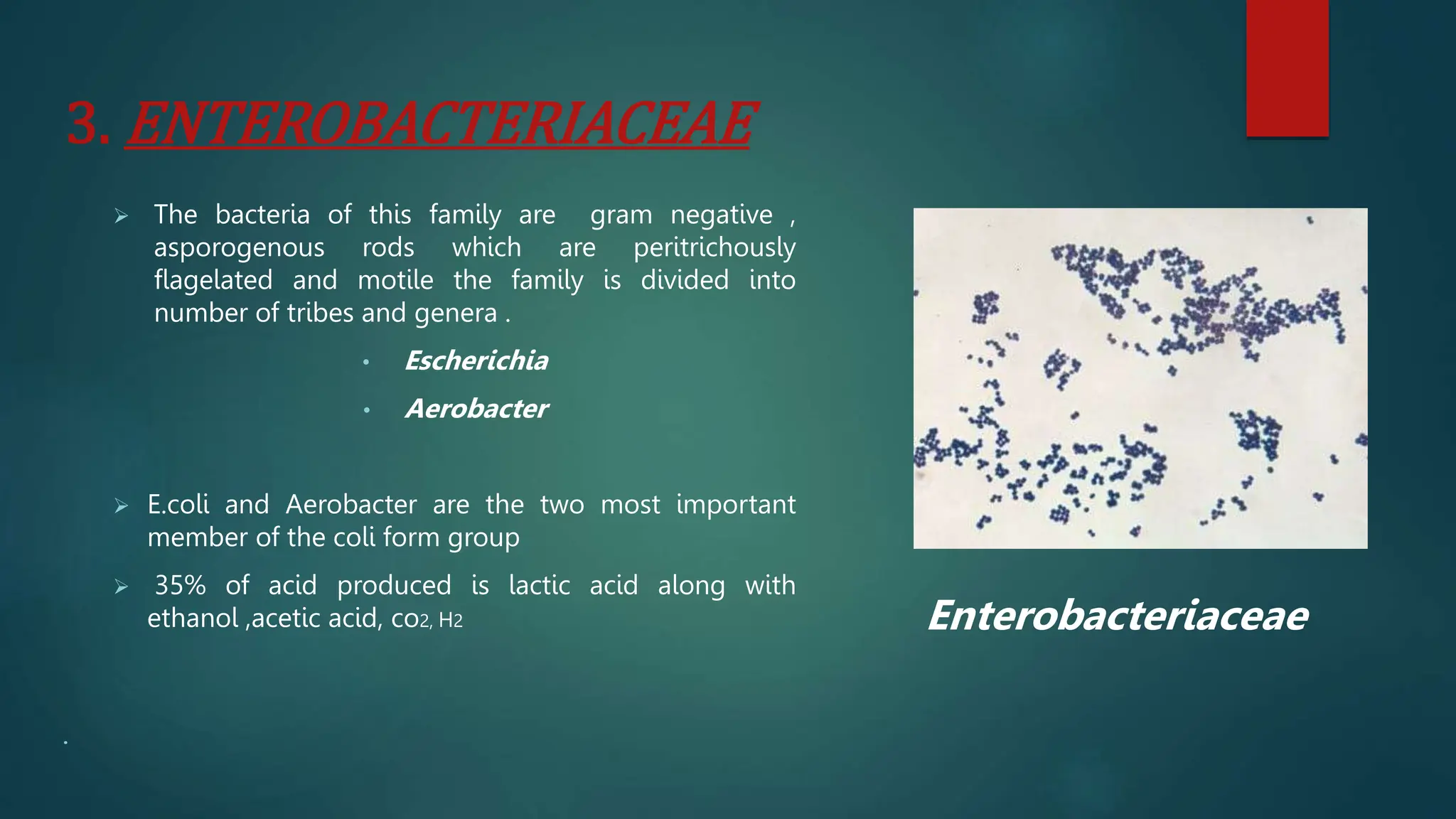 Microbes in dairy industries and its microorganisms | PPTX
