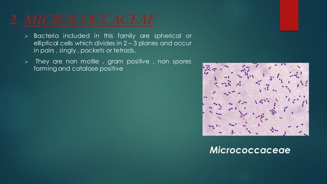 Microbes In dairy industries and its types of microorganisms in milk | PDF