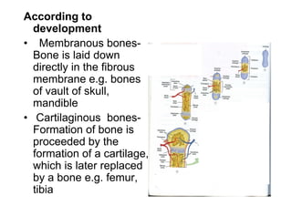 Bones and cartilage chapter and it's note | PPT
