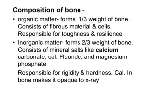 Bones and cartilage chapter and it's note | PPT