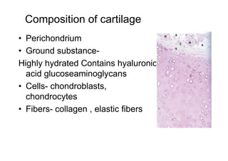 Bones and cartilage chapter and it's note | PPT
