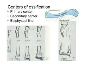 Bones and cartilage chapter and it's note | PPT