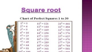 Square and Square root presentation by megha vermapdf | PPT