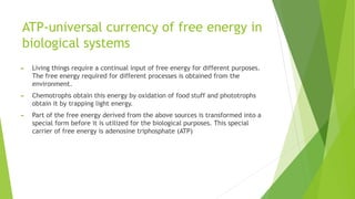 Concept of energy in biosystems. Metabolism, biochemistry etc | PDF