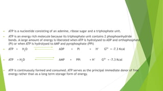 Concept of energy in biosystems. Metabolism, biochemistry etc | PDF