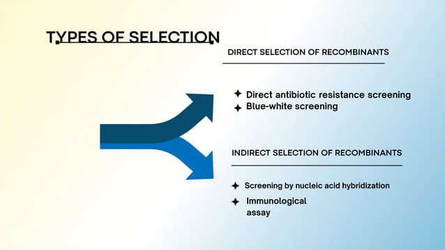Recombinant DNA technology (selection and screening of technology) | PPT
