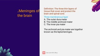 Meninges and parts of brain neuro Anatomy | PDF