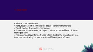 Meninges and parts of brain neuro Anatomy | PDF