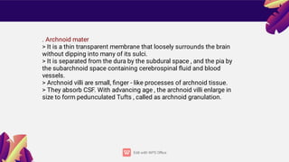 Meninges and parts of brain neuro Anatomy | PDF