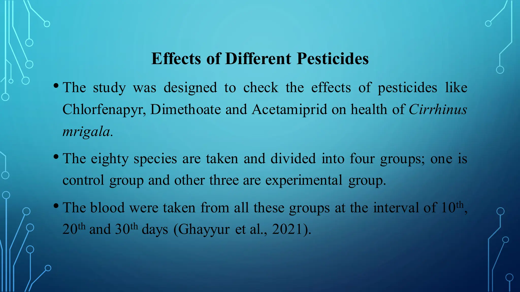 Cirrhinus mrigala introduction & Morphology | PDF