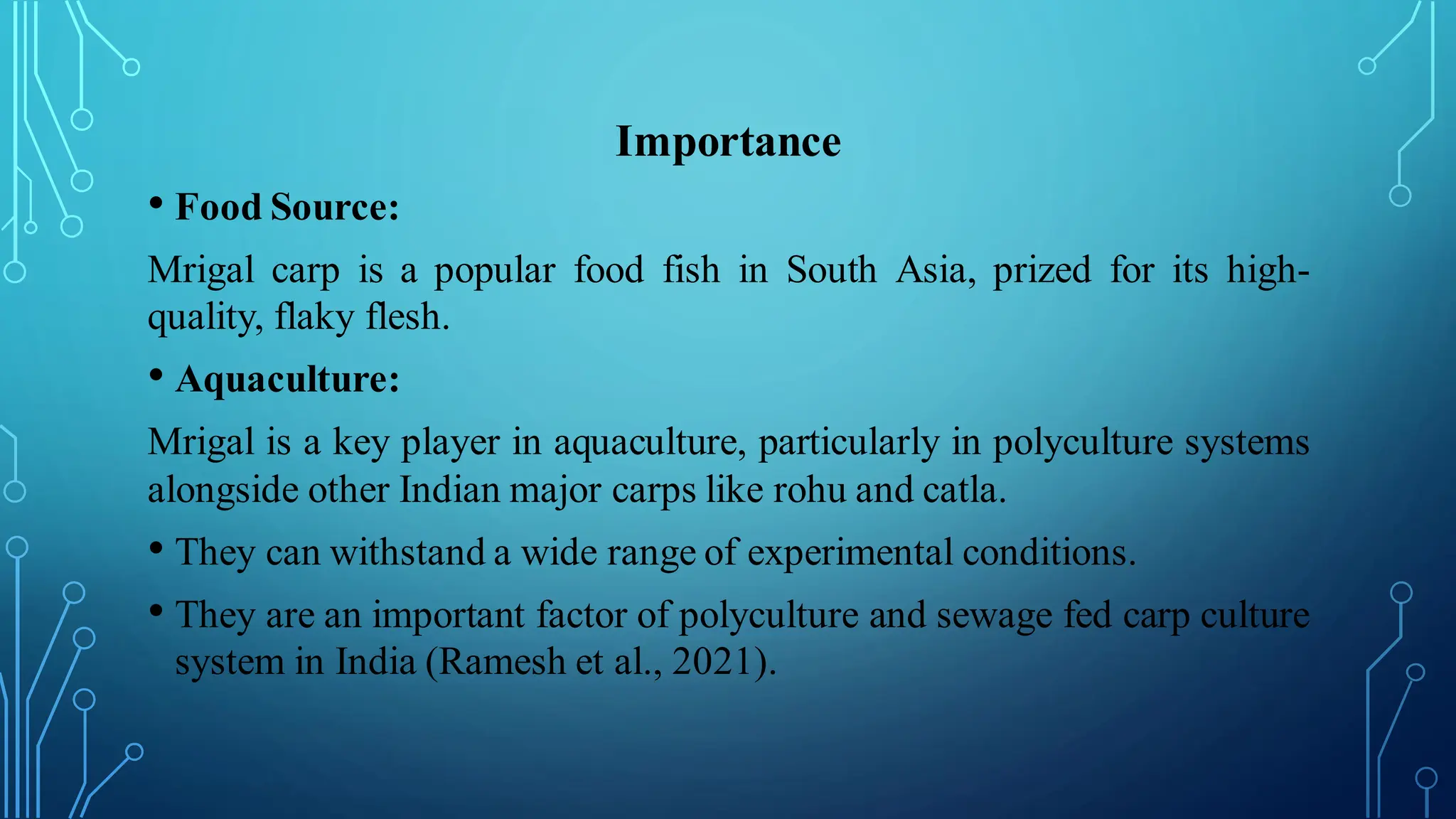 Cirrhinus mrigala introduction & Morphology | PDF