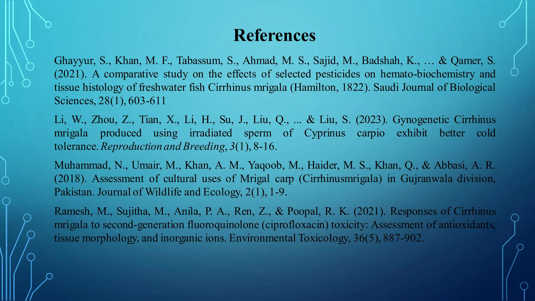 Cirrhinus mrigala introduction & Morphology | PDF