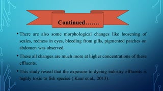 Cirrhinus mrigala introduction & Morphology | PDF
