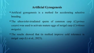 Cirrhinus mrigala introduction & Morphology | PDF
