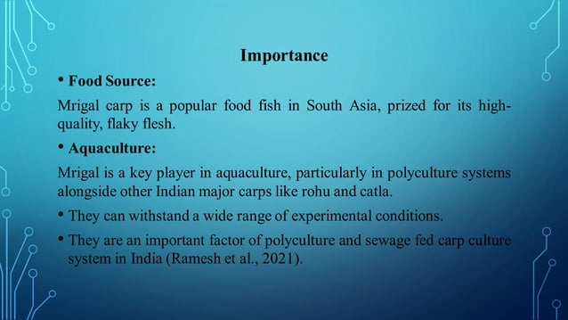 Cirrhinus mrigala introduction & Morphology | PDF