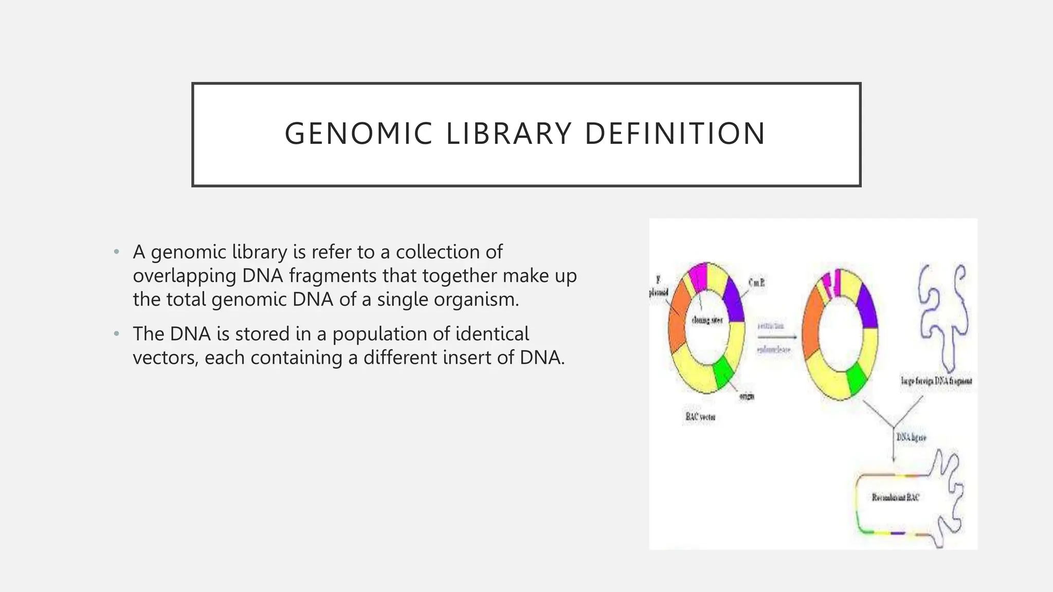Genomic DNA And Complementary DNA Libraries construction. | PPT