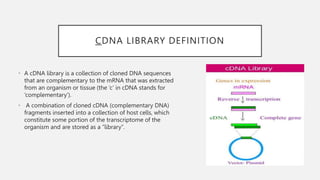 Genomic DNA And Complementary DNA Libraries construction. | PPT
