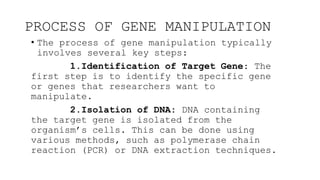 Recombination DNA Technology (Gene Manipulation of animal ) | PPT ...