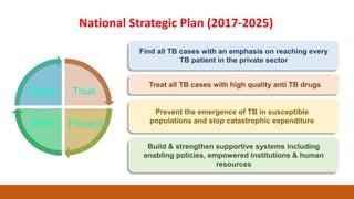 National tb eradication program, NTEP.pptx