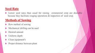 Principles of seed production in self and cross pollinated crops. | PDF