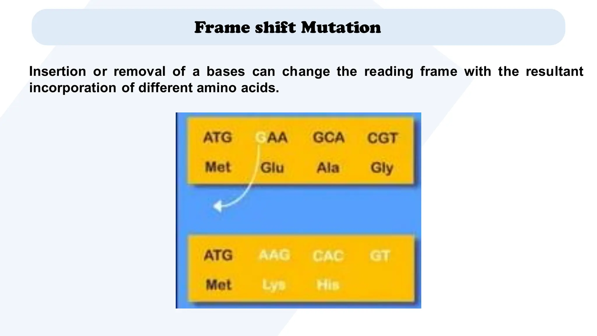 Genetic Code, Discovery of Genetic code. | PPT