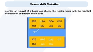 Genetic Code, Discovery of Genetic code. | PPT